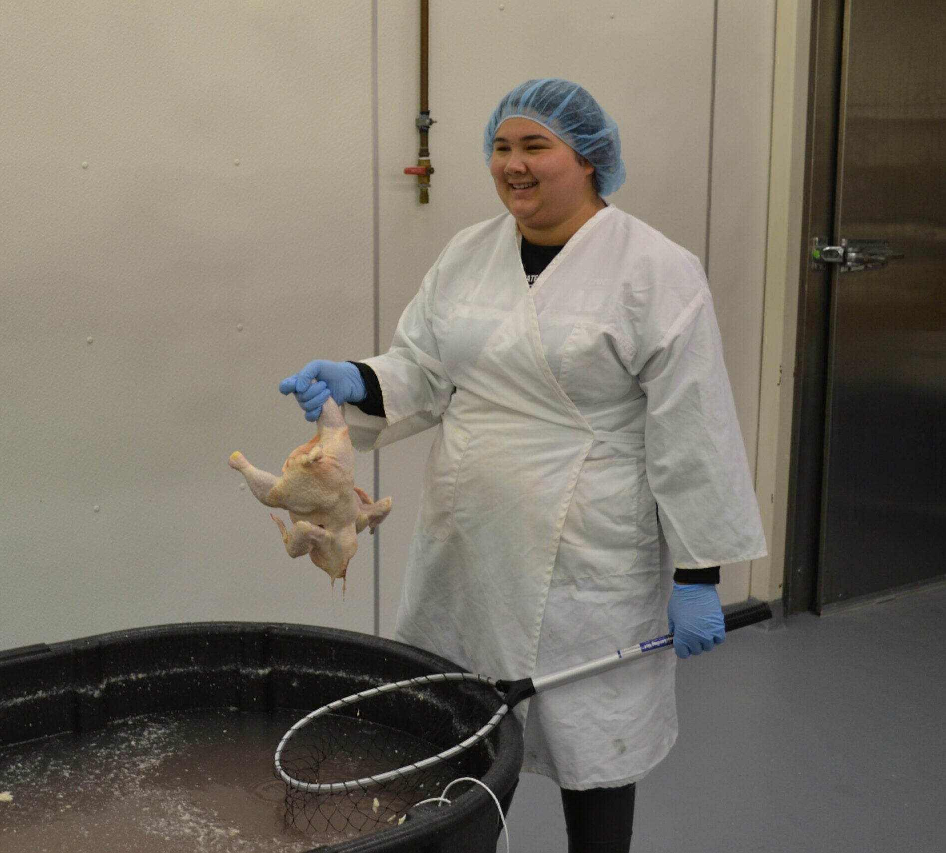 Chicken chilling methods – U.C. Davis Meat Quality & Safety Laboratory